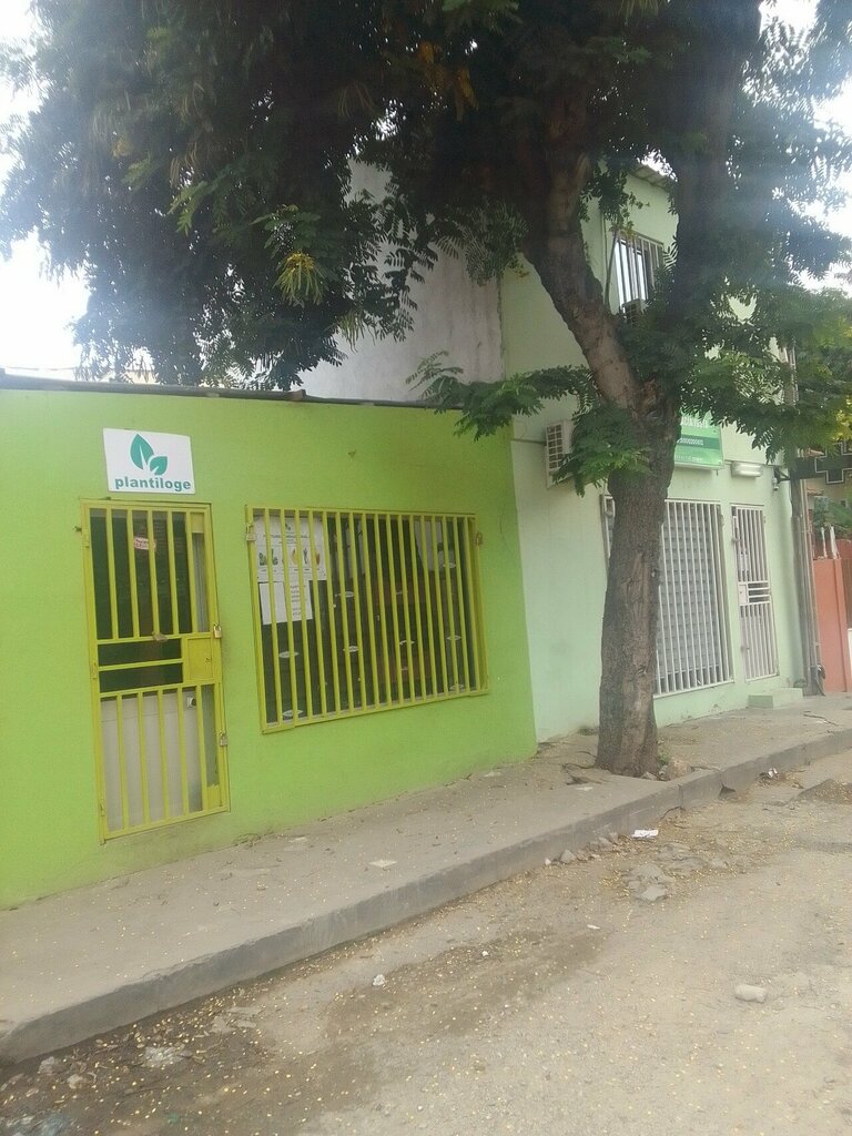Market Plantiloge, Loanda, foto