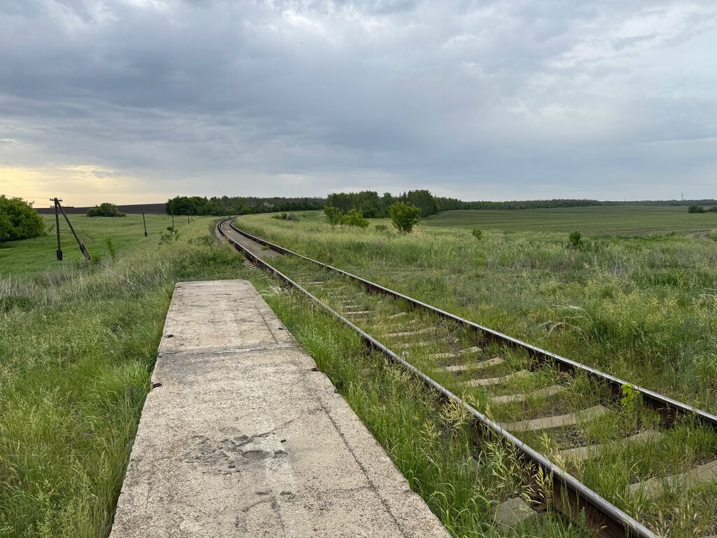 Yük istasyonu остановочный пункт Шировка, Saratovskaya oblastı, foto