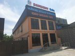 Damushy (Arǵynbekov kóshesі No:246), konuşma terapistleri  Çimkent'ten (Şımkent'ten)