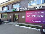 Kamfish (ulitsa imeni Geroya Sovetskogo Soyuza Trofimova No:47), balık ve deniz ürünleri  Biysk'ten