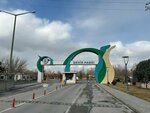 Karatay Belediyesi Karavan Parkı (Fetih Mah., Karatay Şehir Parkı, Karatay, Konya), kamp alanları  Konya'dan
