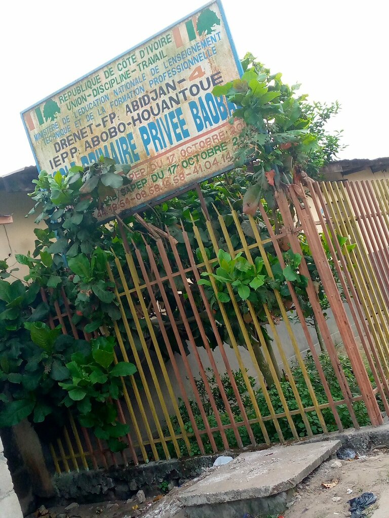 Özel okul École Primaire Privée Baobab, Abican, foto