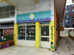 Limon Cello (Sinan Mah., Tınaztepe Cad., No:33/C, Muratpaşa, Antalya), sanat atölyeleri  Antalya'dan