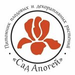 Pitomnik Igorya Nikitina Sad Apogey (50-ya ulitsa No:947, SNT Vishnyovy), sera ve bahçe ürünleri  Çeliabinskaya oblastından