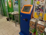 Payment terminal (Shishkova Street No:144), ödeme terminali  Voronej'den