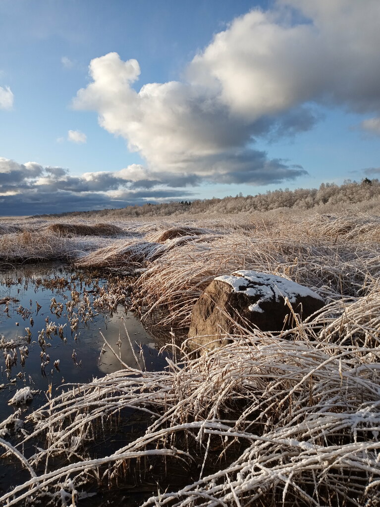 Giriş işareti Памятный километровый столб Дорога Жизни 42-й километр, Saint‑Petersburg ve Leningradskaya oblastı, foto