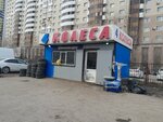 4 Wheels (Astana, Asan Qaıǵy kóshesi), oto lastik tamiri  Astana'dan