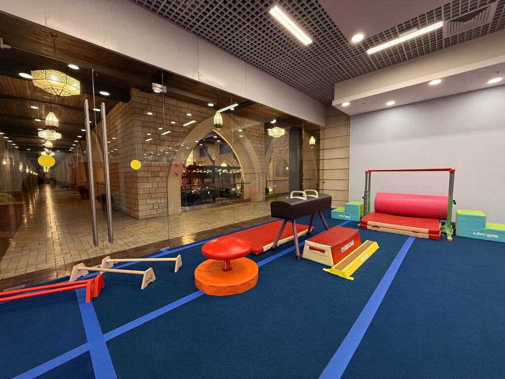 Spor kulüpleri International Gym, Moskova ve Moskovskaya oblastı, foto