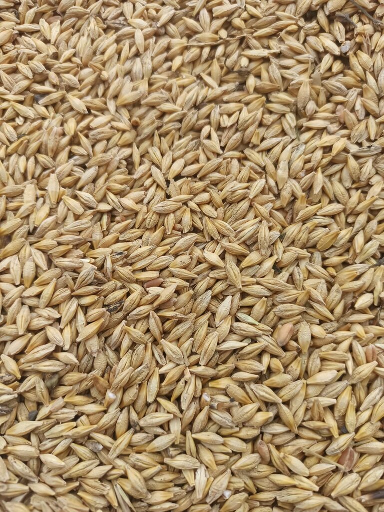 Tahıl firmaları Зерно и корма, Moskova ve Moskovskaya oblastı, foto