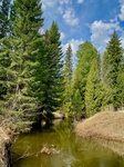 Германов Остров (Tomsk Region, Poros River), seyahat kulübü  Tomskaya oblastından
