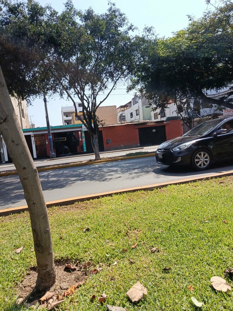 Berberler Rosell 92, Lima, foto