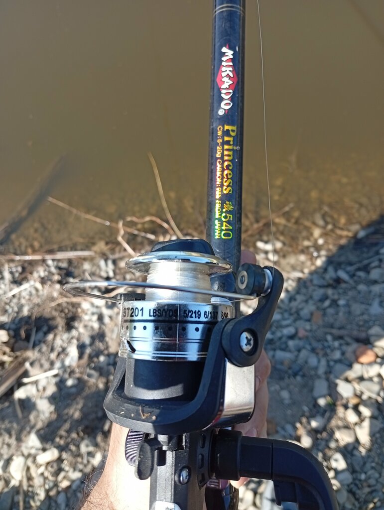 Plaj Пляж, Ulyanovskaya oblastı, foto