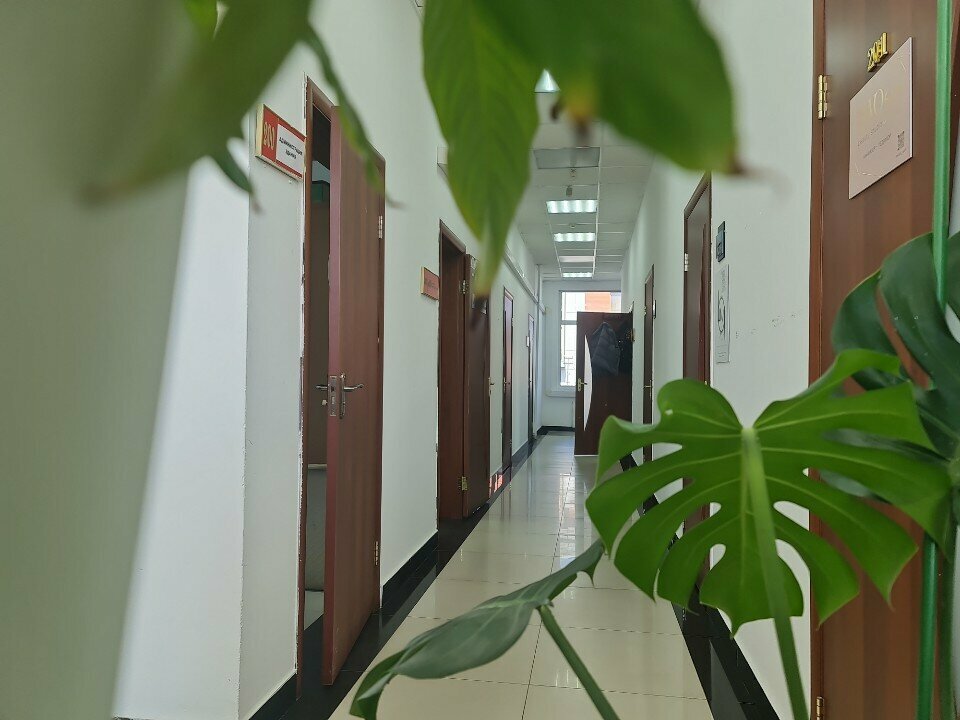 Ticari gayrimenkul alım satımı Аренда помещений, Irkutsk, foto