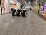 Yamaguchi (Leningrad Region, Vsevolozhckiy DIstrict, Zanevskoye gorodskoye poseleniye, Murmanskoye shosse, 12-y kilometr, 1), masaj koltuğu
