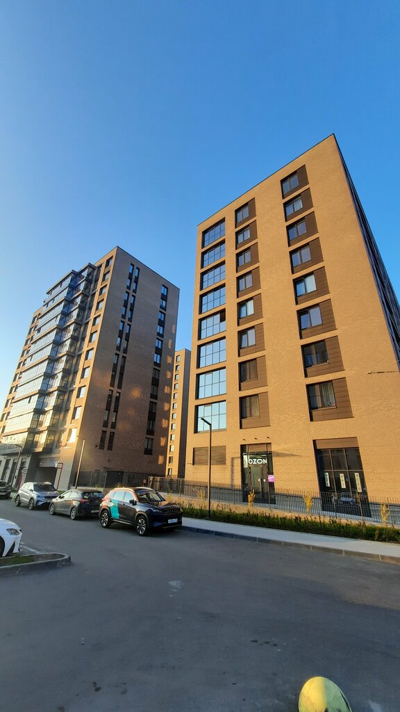 Kuru temizlemeciler Chistotronik, Saint‑Petersburg, foto