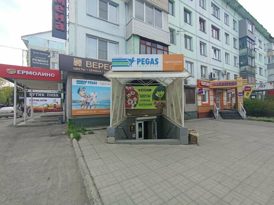 Çiçekçiler Вереск, Biysk, foto