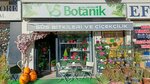 Vs Botanik Çiçekçilik (Konya, Selçuklu, Selçuk Mah., Gömeç Sok., 3), çiçekçiler  Konya'dan