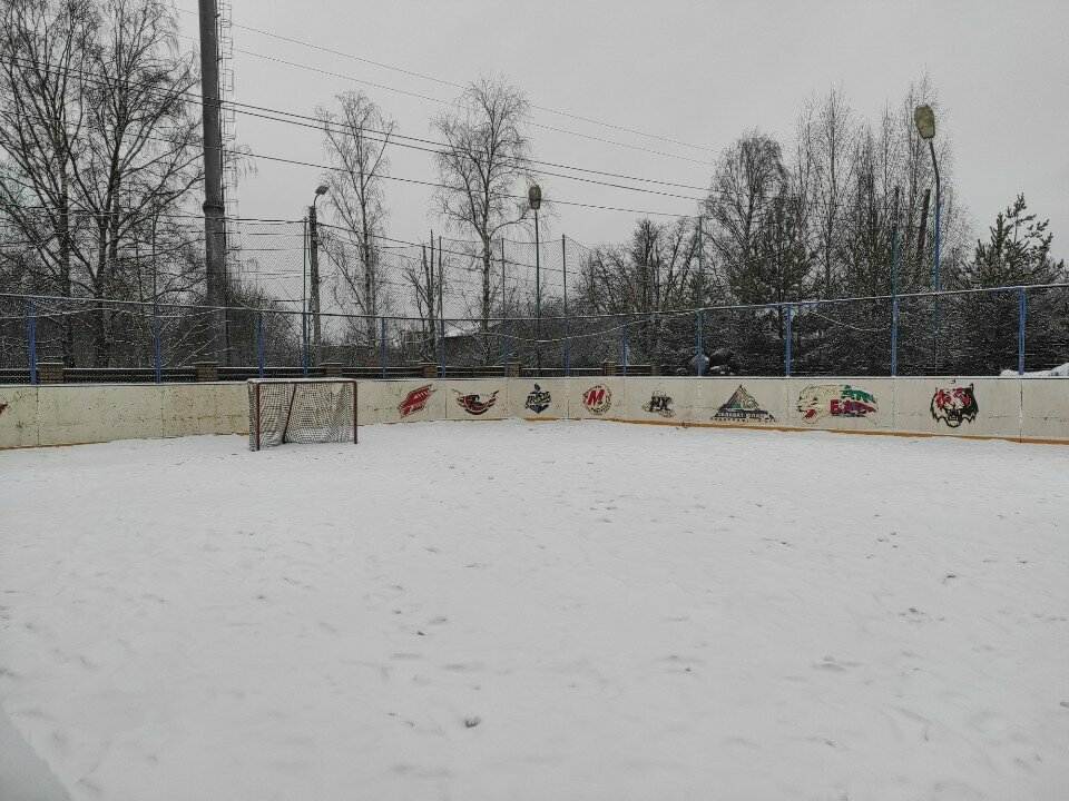 Buz pateni pistleri Ice rink, Puşkin, foto