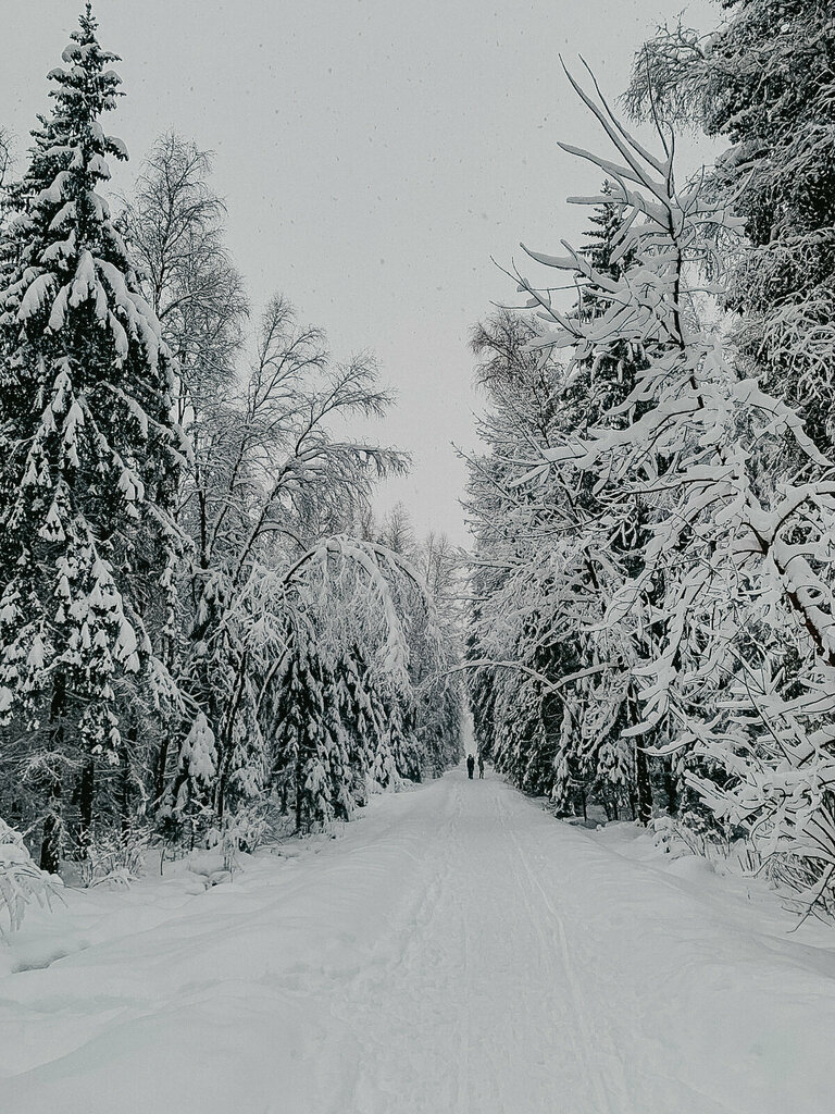 Kayak merkezleri Прокат лыж, Gatchina, foto