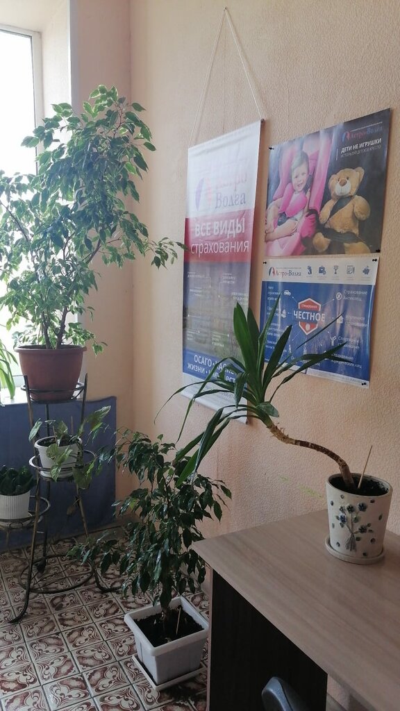 Sigorta şirketleri Астро-Волга, Sebezh, foto