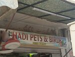 Hadi pets & birds (Zafar ul Haq Road No:2477, Chah Sultan, Rawalpindi), petshop  Rawalpindi'den