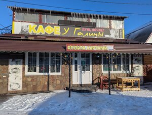 У Галины (Voronezh Region, Bogucharskiy rayon, Radchenskoye selskoye poseleniye), kafe  Voronejskaya oblastından