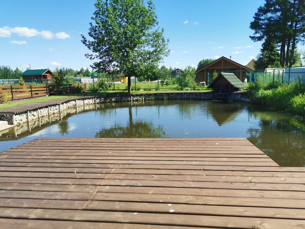 Sera ve bahçe ürünleri Вологодский селекцентр, Vologda, foto