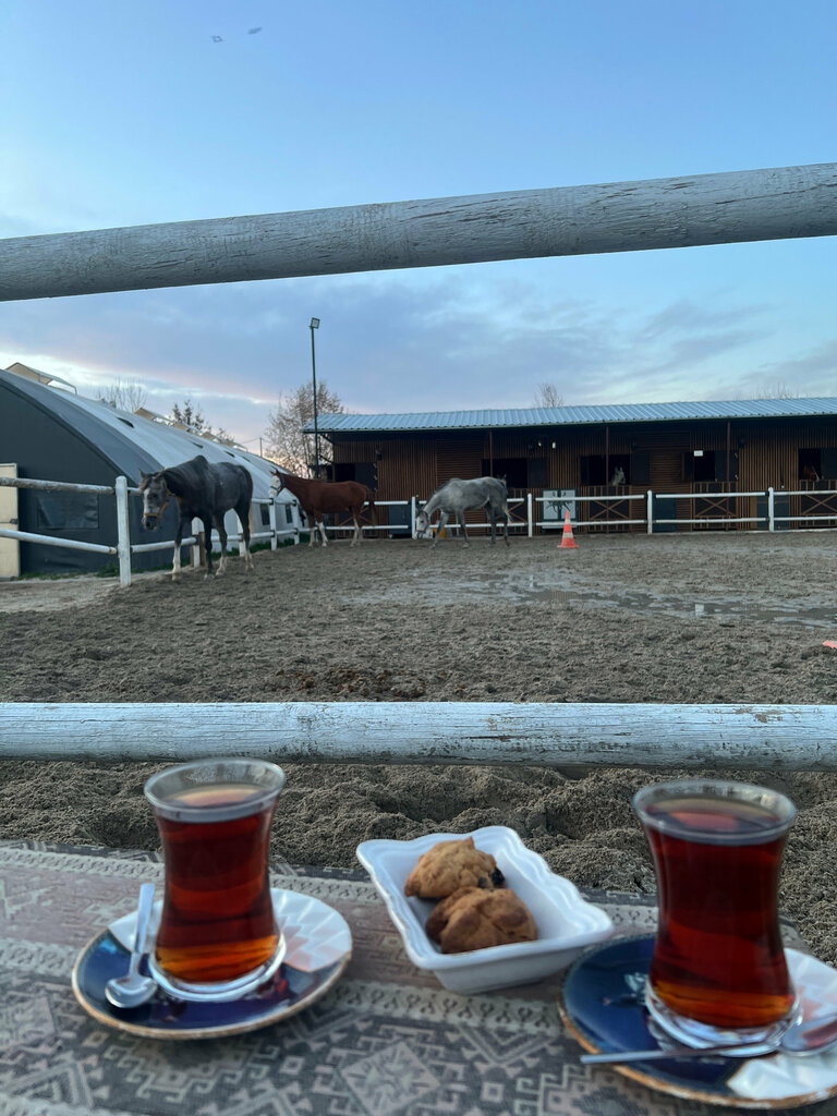 At ve binicilik kulüpleri Tomara Binicilik Kulübü, İstanbul, foto