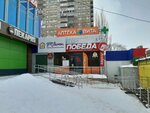 Nika (Frunze Street No:23), rehincilik  Tolyatti'den (Togliatti'den)