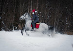 Дикий Север (Republic of Karelia, Kostomukshskiy munitsipalny okrug), horse riding  Karelya Cumhuriyeti'nden