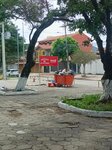 Municipal Market 12 de Octubre (Santa Cruz de la Sierra, Distrito Municipal 1, Subdistrito 62, Profesor José de Montenich 2, 100), gıda pazarı  Santa‑Krus'tan