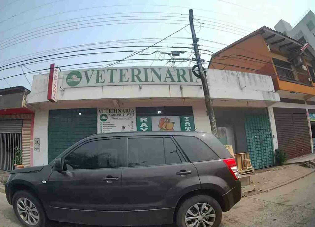 Veteriner klinikleri Clínica Veterinaria Agronutrivet, Santa‑Krus, foto