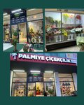 Palmiye Çiçekçilik (Afyonkarahisar, Afyonkarahisar Merkez, Selçuklu Mah., Fatma Zehra Cad., 29C), çiçekçiler  Afyonkarahisar'dan