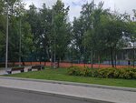 Теннисный корт 13 (Moscow, Severniy Administrative Okrug, Golovinskiy District), tenis kortu  Moskova'dan