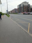 Невская улица (Leningrad Region, Lomonosovskiy District, Anninskoye gorodskoye poseleniye, gorodskoy posyolok Novoselye, Nevskaya ulitsa), toplu taşıma durağı  Saint‑Petersburg ve Leningradskaya oblastından