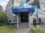 Ognes-nord (strada Andrei Doga No:30/1), yüzme havuzları  Kişinev'den
