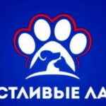 Счастливые Лапки (Armavirskaya Street No:233), petshop  Yeysk'ten