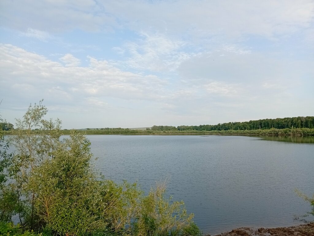 Bahçecilik dernekleri ve kuruluşları Нефтяник, Başkurdistan, foto
