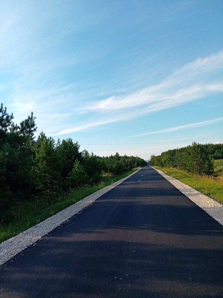 Orman Михайловский лес, Penzenskaya oblastı, foto