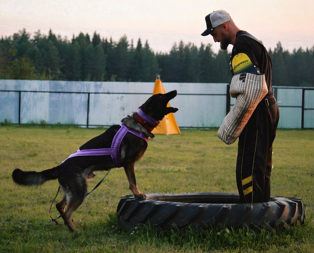 Köpek gezdirme alanları Спортивный кинологический центр Торнадо, Kirovskaya oblastı, foto