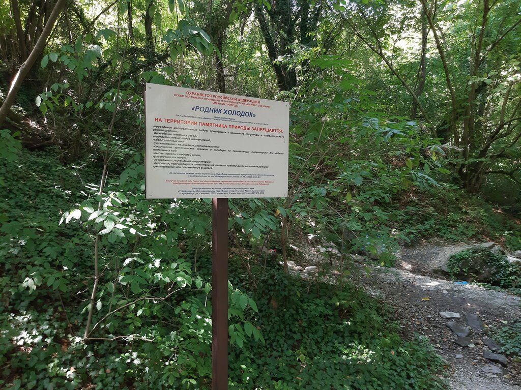 Pınar, çay Spring, stream, Krasnodarski krayı, foto