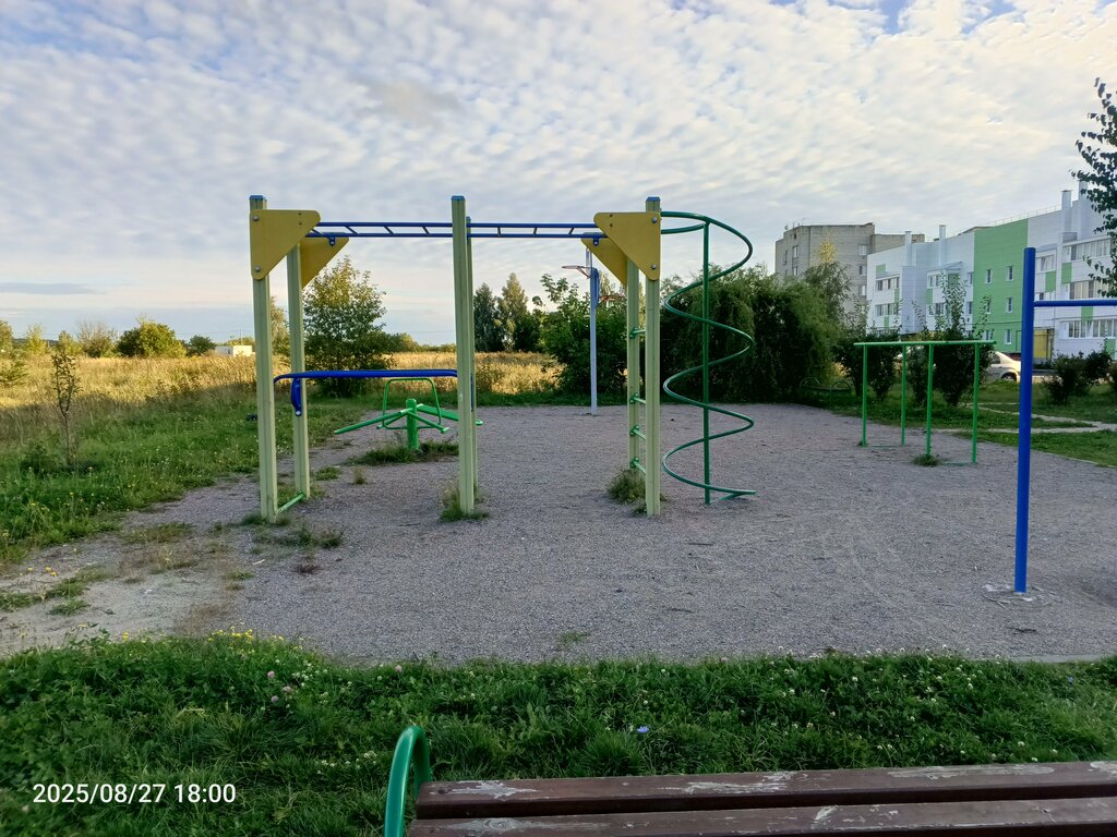 Oyun alanı Playground, Kurskaya oblastı, foto
