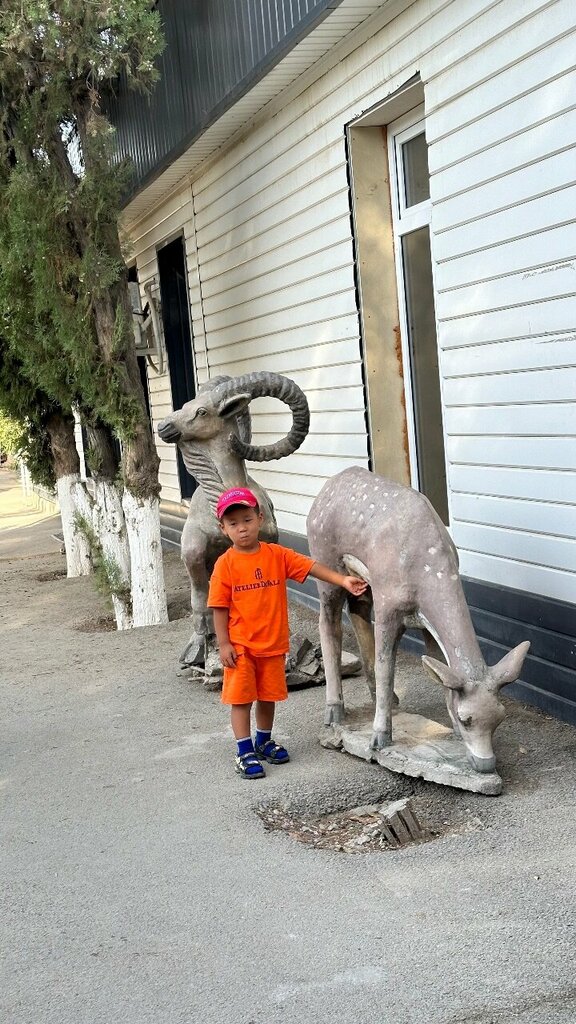 Anaokulları Aem kids, Çimkent (Şımkent), foto