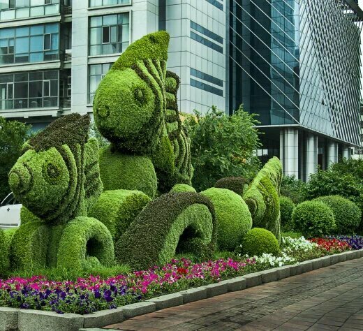 Şehir planlama Green Rabbit, Vologodskaya oblastı, foto