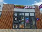 Бульдог (ulitsa Poddubnogo No:8А), petshop  Volgograd'dan