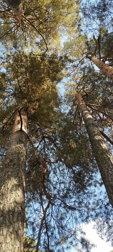 Seyir terası Observation deck, , foto