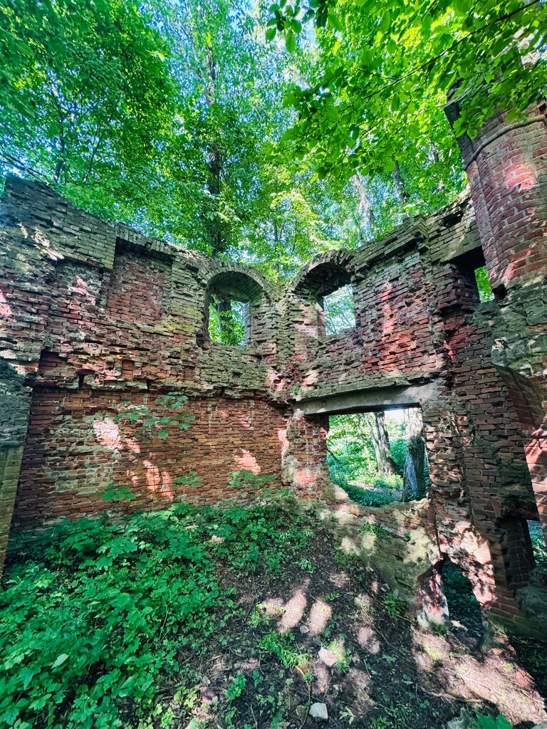 Turistik yerler Усадьба Хлюдинских, Vitebskaya oblastı, foto