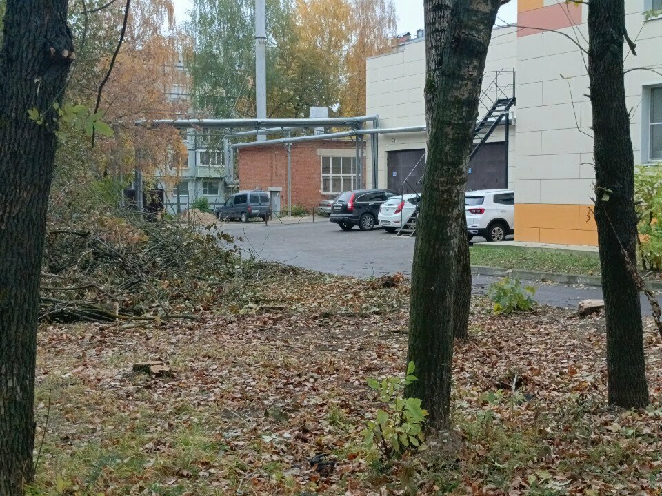 Güzellik salonu Любава, Vladimir, foto