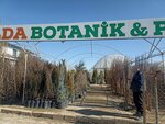Dalda Botanik (Bahçeşehir Mah., Hasanköy Cad., No:181, Meram, Konya), fidan yetiştiriciliği  Konya'dan