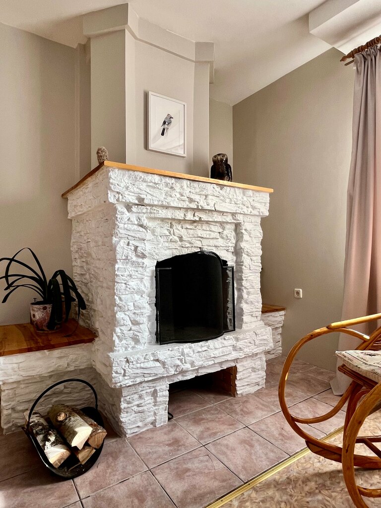 Konuk evi Sinichki, Ulyanovskaya oblastı, foto